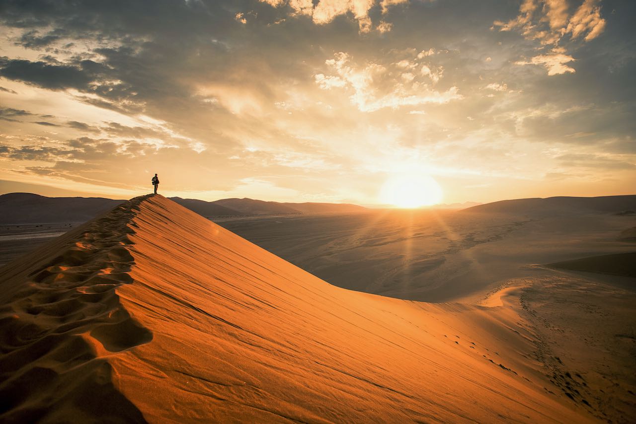En medio del desierto siempre Él proveerá vida - La Noticia